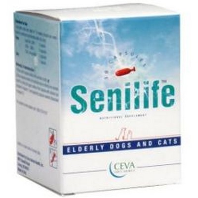 Senilife for Elderly Dogs and Cats is Back at VetRxDirect - VetRxDirect ...