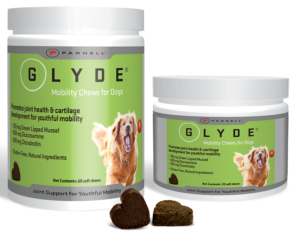 Glyde Mobility Chews Archives - VetRxDirect BlogVetRxDirect Blog