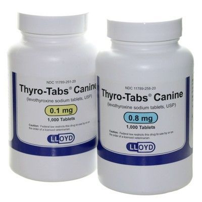 FDA Approved Thryo-Tabs Levothyroxine For DogsVetRxDirect Blog