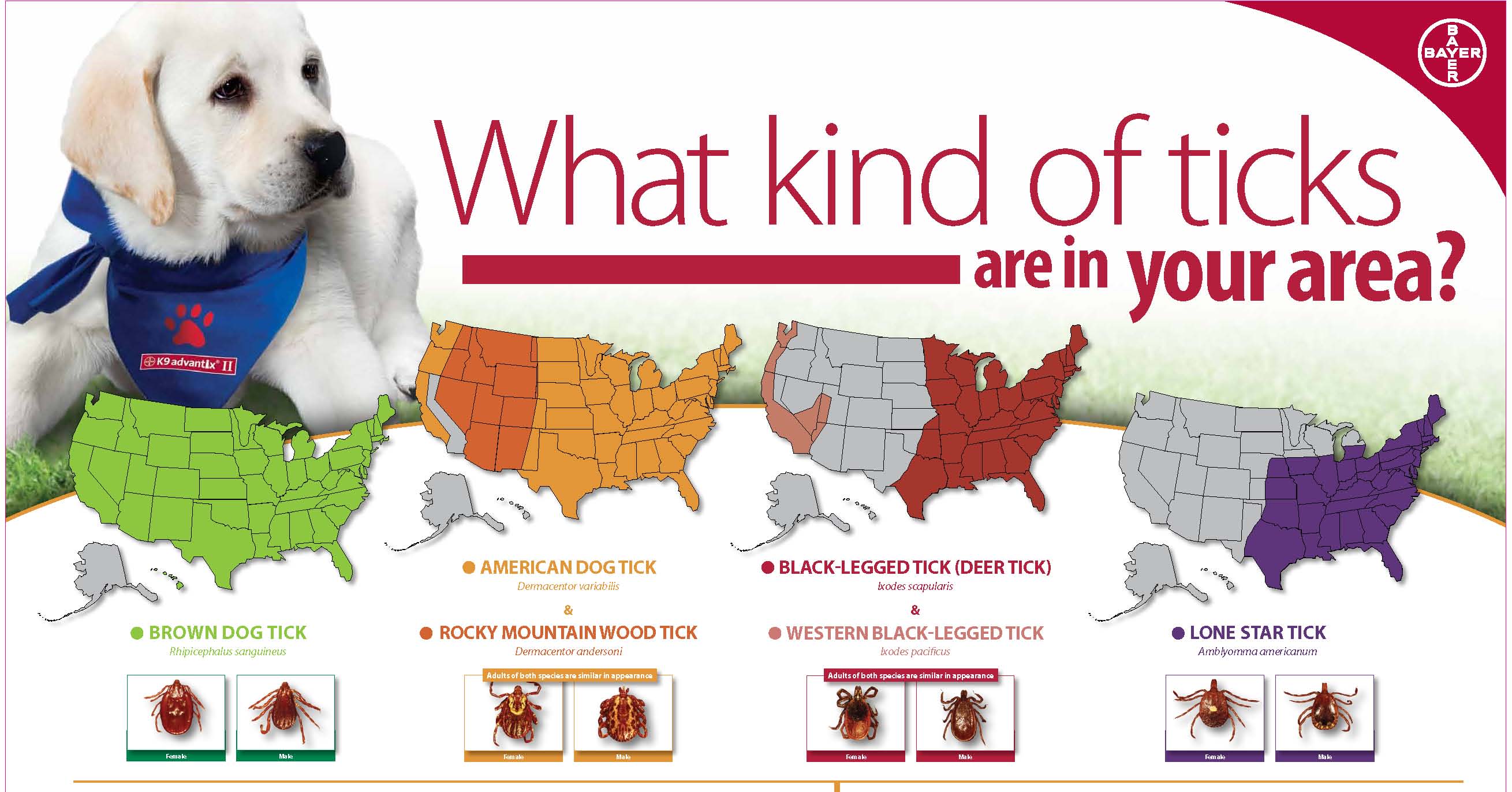 Tick maps from K12057 - VetRxDirect BlogVetRxDirect Blog