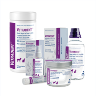 vetradent Archives - VetRxDirect BlogVetRxDirect Blog