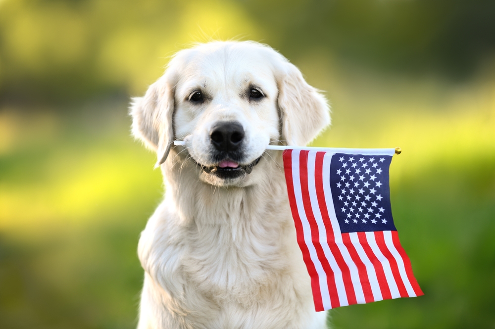 2023 Memorial Day Holiday And Shipping Schedule Vetrxdirect Blogvetrxdirect Blog