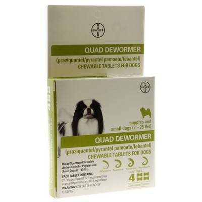 Quad Dewormer for Dogs - Broad Spectrum Chewable | VetRxDirect