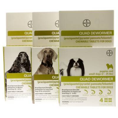 Quad Dewormer for Dogs - Broad Spectrum Chewable | VetRxDirect