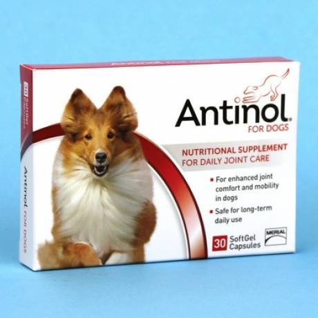 Antinol for Dogs and Cats - Daily Joint Care Supplement | VetRxDirect ...