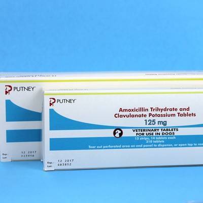 Amoxicillin Clavulanate - Antibiotic Tablets for Dogs | VetRxDirect ...