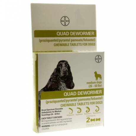 Quad Dewormer for Dogs - Broad Spectrum Chewable | VetRxDirect