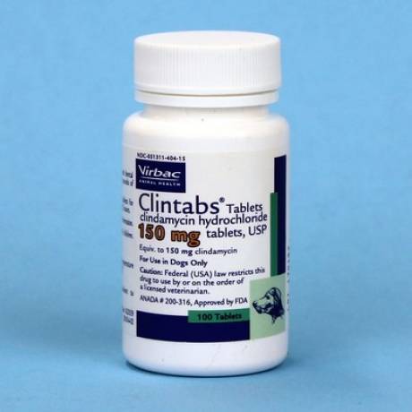 Clintabs (clindamycin) Tablets for Dogs - Antibiotic | VetRxDirect ...