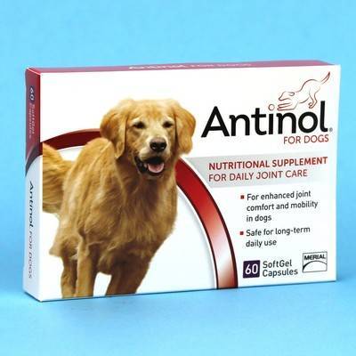 Antinol for Dogs and Cats - Daily Joint Care Supplement | VetRxDirect