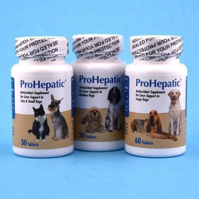 ProHepatic for Dogs and Cats - Antioxidant and Liver Supplement ...