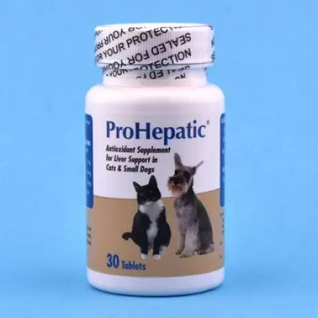 ProHepatic for Dogs and Cats - Antioxidant and Liver Supplement ...