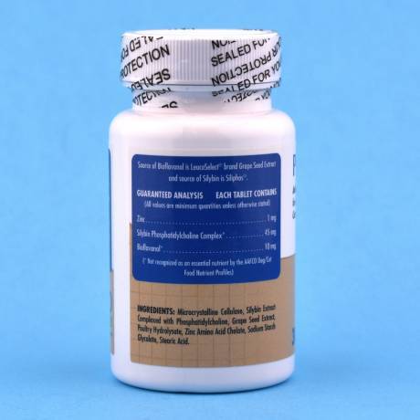 ProHepatic for Dogs and Cats - Antioxidant and Liver Supplement ...