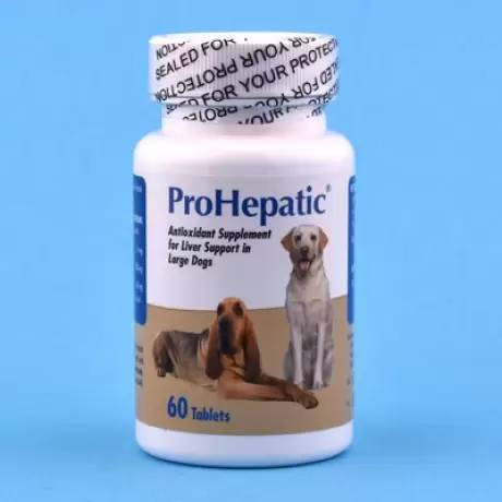 ProHepatic for Dogs and Cats - Antioxidant and Liver Supplement ...