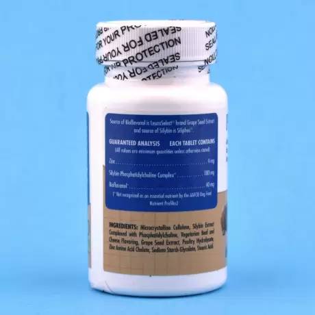 ProHepatic for Dogs and Cats - Antioxidant and Liver Supplement ...