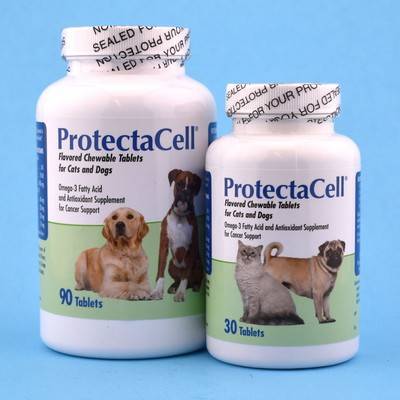 ProtectaCell: Cancer Support Formula for Pets - VetRxDirect