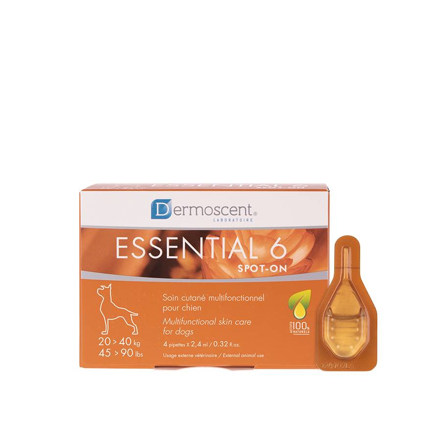 Dermoscent Essential 6: Spot On Skin Care for Pets - VetRxdirect