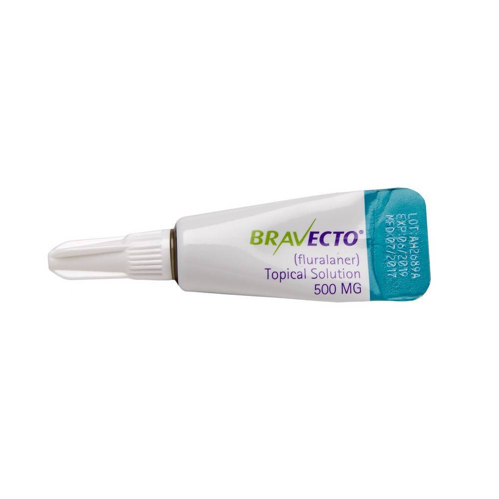 Bravecto SpotOn for Dogs - Fluralaner Topical Solution for Dogs ...