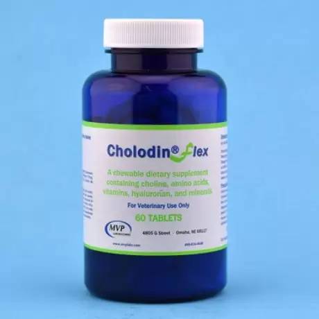 Cholodin - Dietary Supplement for Senior Dogs and Cats | VetRxDirect ...