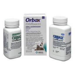 Dog Medications Antibiotics Oral