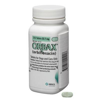 Orbax Oral Suspension: Orbifloxacin Tablets - VetRxDirect.com