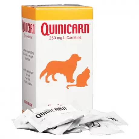 Quinicarn for Dogs and Cats - L-Carnitine Liver Function Support ...