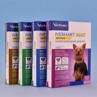 Heartworm Prevention: Heartworms in Dogs - Pet Meds- VetRxDirect