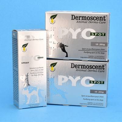 Dermoscent PYOspot for Dogs - Skin Barrier Support | VetRxDirect ...