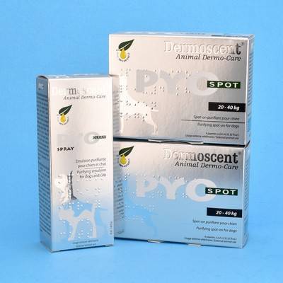 Dermoscent PYOspot for Dogs - Skin Barrier Support | VetRxDirect ...