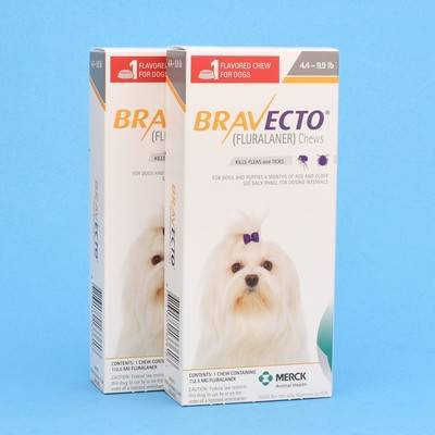 Bravecto - Oral Flea and Tick Chew for Dogs | VetRxDirect