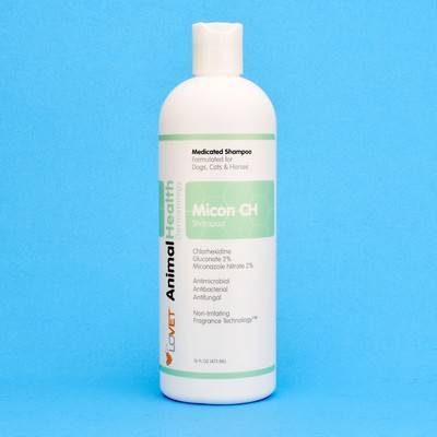 Micon CH Shampoo for Dogs and Cats - Chlorhexidine + Miconazole ...