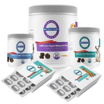 S-Adenosyl-L-Methionine