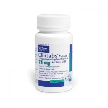 Clintabs (clindamycin) Tablets for Dogs - Antibiotic | VetRxDirect ...
