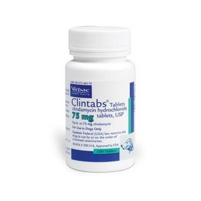 Clintabs (clindamycin) Tablets for Dogs - Antibiotic | VetRxDirect ...