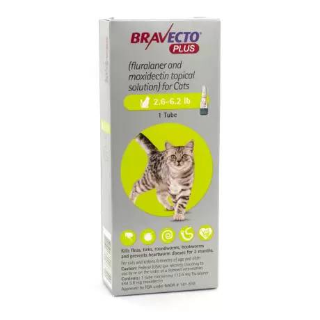 Bravecto Plus Topical Solution for Cats - Fleas, Ticks, and Heartworm! | VetRxDirect | 13.8-27.5 ...