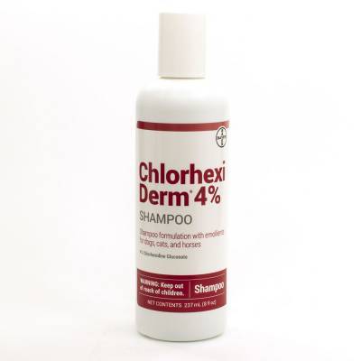 ChlorhexiDerm: Maximum 4% Shampoo for Pets - VetRxDirect.com | 12oz Bottle