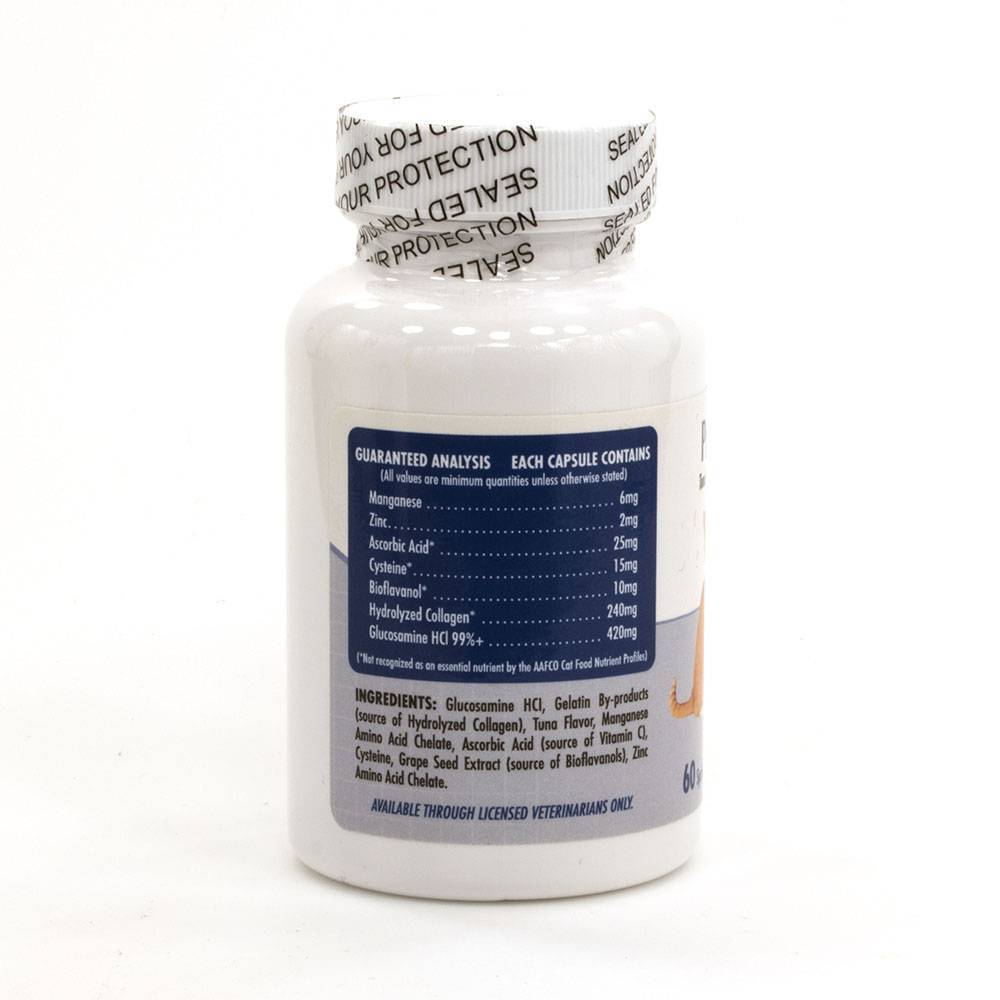 ProMotion Joint Supplement: bioflavanol - VetRxDirect | for Medium ...