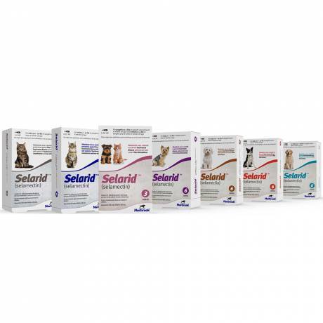 Selarid for Dogs and Cats - Topical Heartworm and Flea Preventative ...