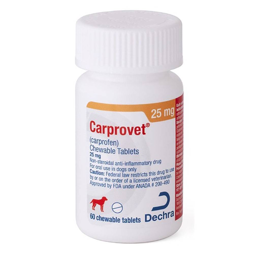 Carprovet Chewable Tablets for Dogs - Generic Carprofen | VetRxDirect ...