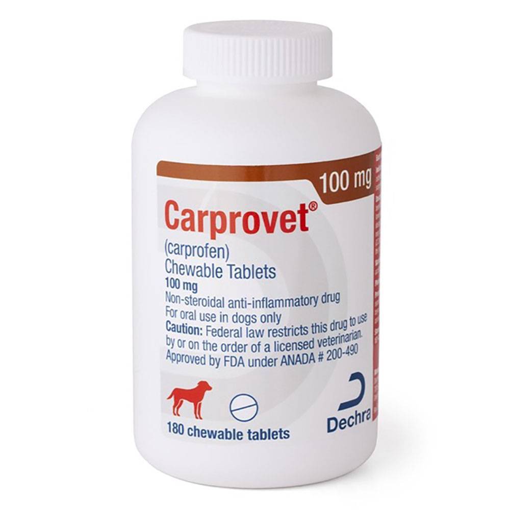 Carprovet Chewable Tablets for Dogs - Generic Carprofen | VetRxDirect ...