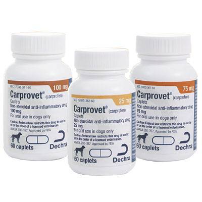Carprovet Caplets for Dogs - Carprofen Caplets | VetRxDirect Pharmacy