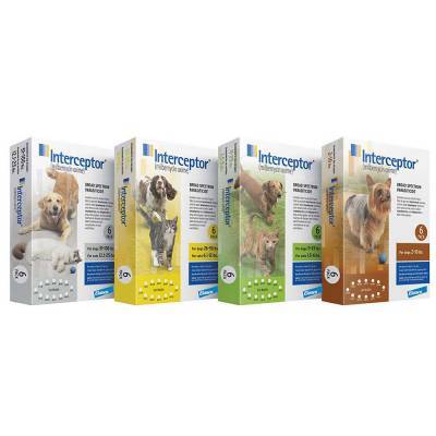 Interceptor Flavor Tabs - Heartworm Preventative | VetRxDirect