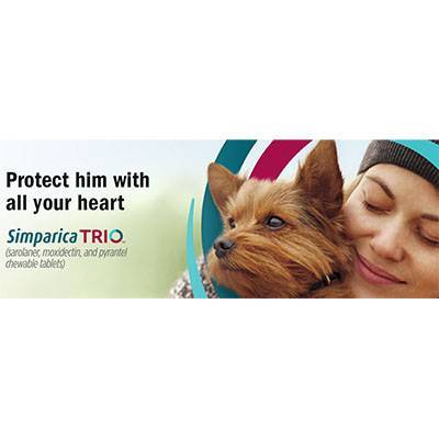 Simparica TRIO for Dogs - Heartworm, Flea, and Tick Prevention Chewable ...