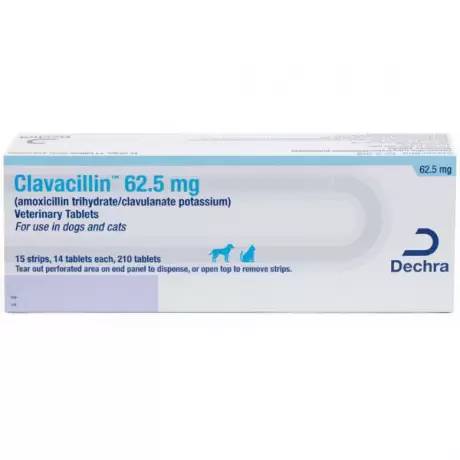 Amoxicillin Clavulanate - Antibiotic Tablets for Dogs | VetRxDirect