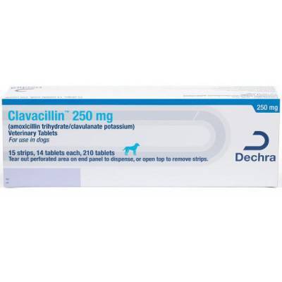 Amoxicillin Clavulanate - Antibiotic Tablets for Dogs | VetRxDirect ...