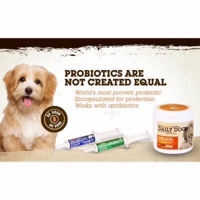 FullBucket Probiotic for Dogs - Vet Strength Gut Health | VetRxDirect ...