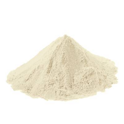 Bio Case Pancreatic Enzyme Supplement for Dogs and Cats | VetRxDirect