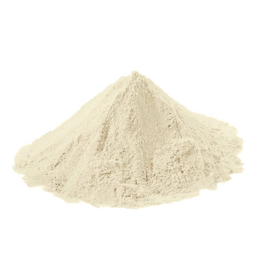 Bio Case Pancreatic Enzyme Supplement for Dogs and Cats | VetRxDirect