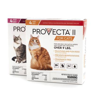 Provecta for Cats - Monthly Flea Topical | VetRxDirect Pharmacy