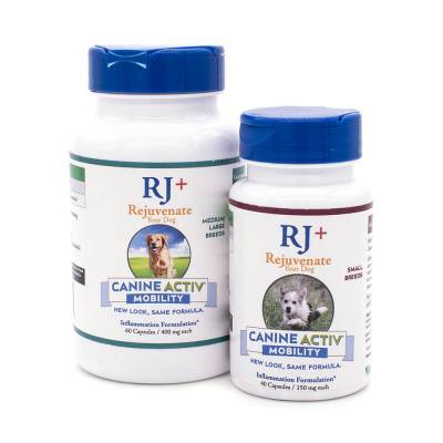 Rejuvenate Plus - Creatine Supplement for Dogs | VetRxDirect