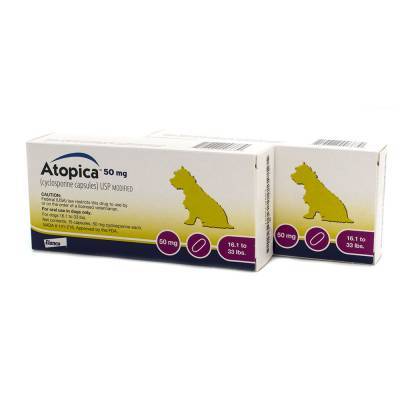 Atopica for Dogs - Cyclosporine for Dogs - Allergy Dog Meds | VetRxDirect